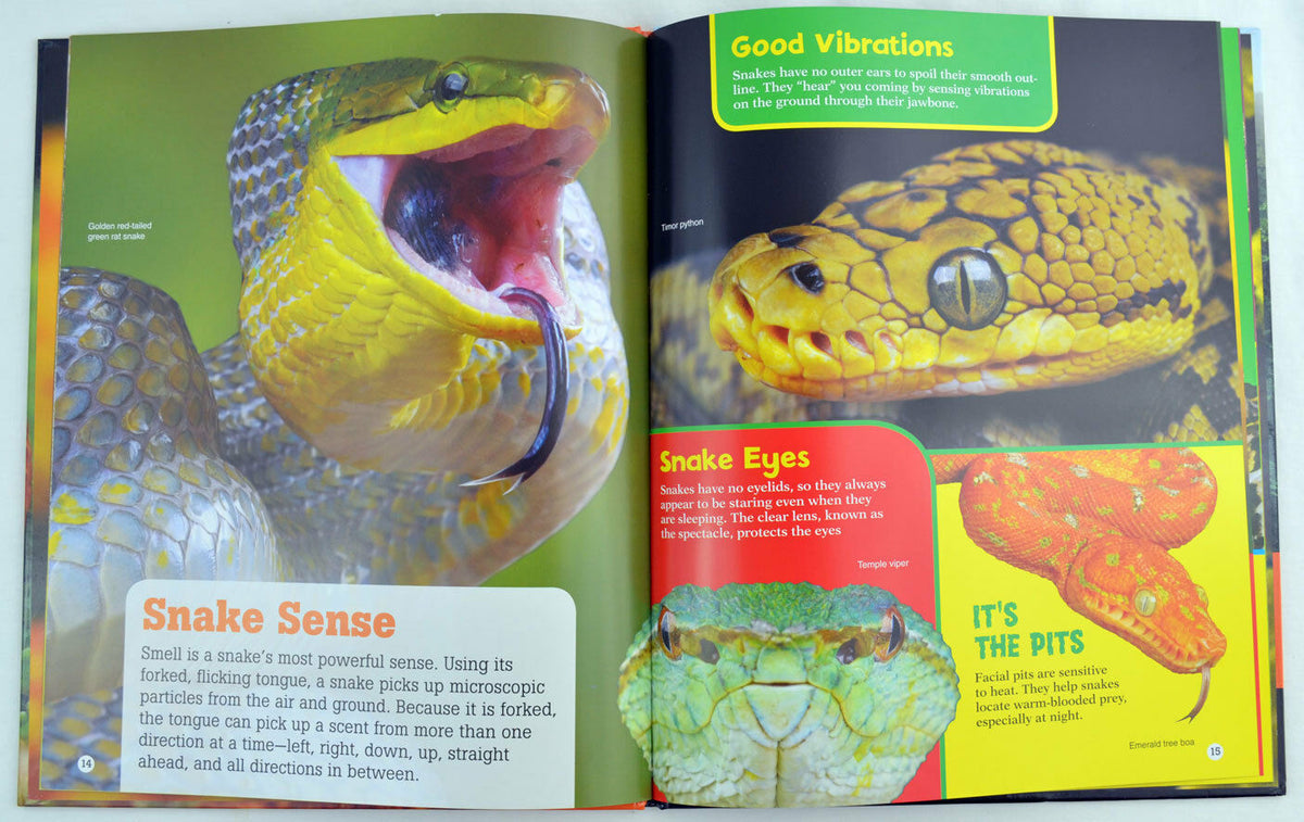 SNAKES Photo-Fact Collection (2012, Hardcover) Jennifer Gresham Zoo Ne ...